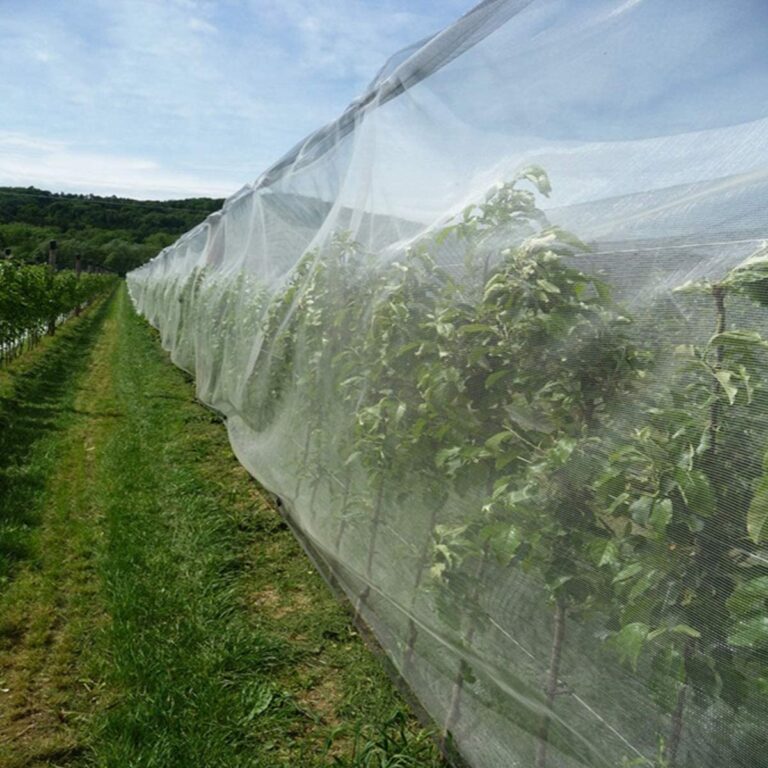 Insect Netting For Greenhouse Screen Covers | Direct Factory