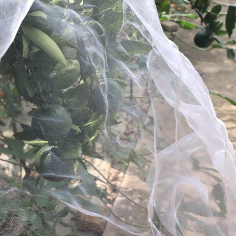 Insect Netting For Greenhouse Screen Covers | Direct Factory