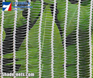 Types of hail nets and differences | Direct Shade Nets Factory
