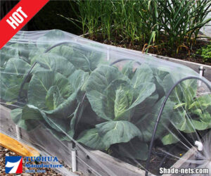 Installation of anti-insect nets in greenhouses | Direct Shade Nets Factory