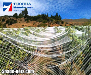 Select the three factors of the right anti-bird nettingfor your orchard ...