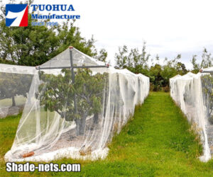 You need to know about the key factors to consider when choosing fruit ...