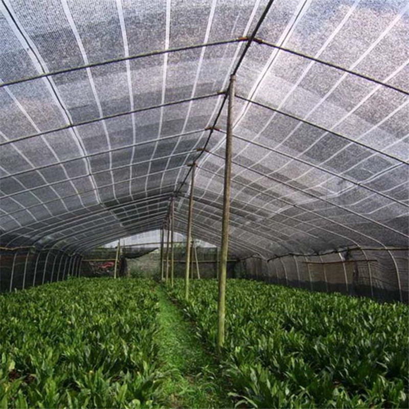 4 roles of agricultural polyethylene shade netting | Direct Shade Nets ...